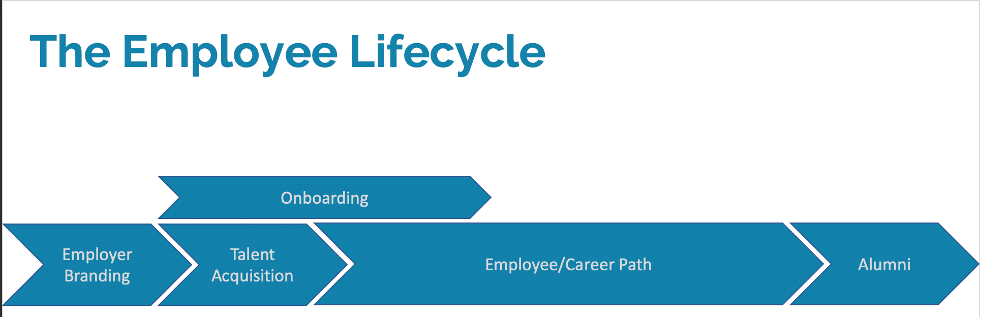 How Do You Improve Employee Experience? - iTacit