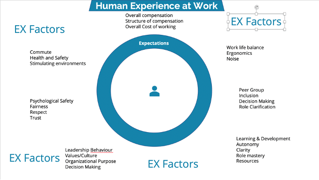 How Do You Improve Employee Experience? - iTacit